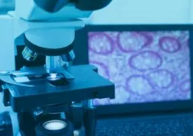 Electronic Lab Notebook (ELN) | Sapio Sciences